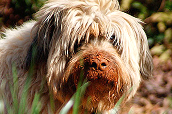The many faces of Sam. - She Wears Many Hats