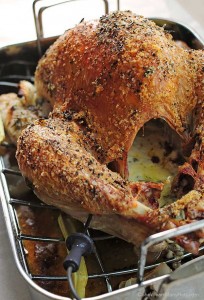 Mayonnaise Roasted Turkey Recipe
